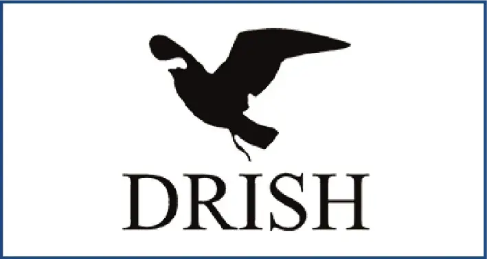 Motion Graphics Explainer Video Animation Services Company – Flashy Videos